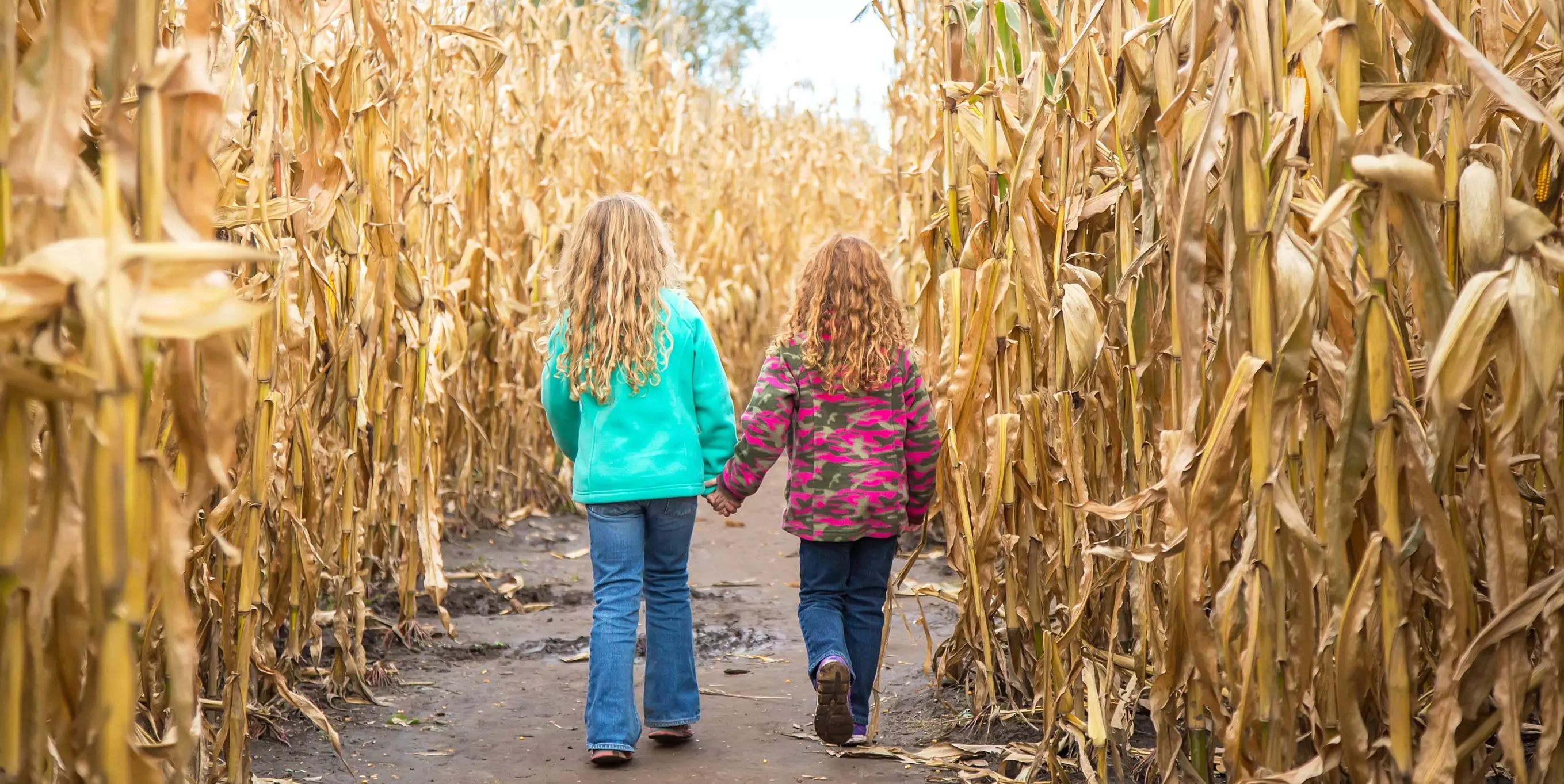 33 najlepších kukuričných bludísk v okolí – najlepšie strašidelné a rodinne vhodné kukuričné bludisko v Amerike