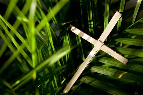 2021 оны Palm Sunday хэзээ вэ? - Дал модны ням гарагт юу болсон бэ, яагаад бид тэмдэглэдэг вэ?