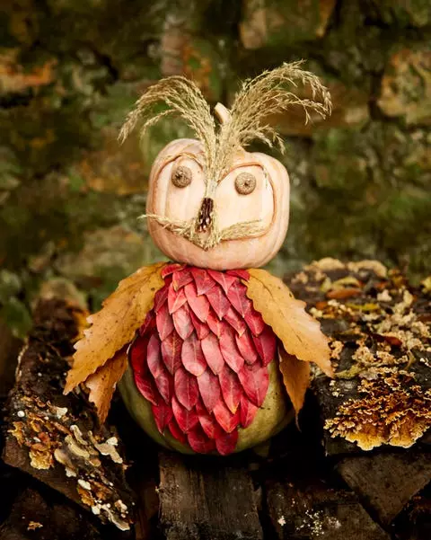 31 Best Pumpkin Faces Ideas - Ubuso Pumpkin eqingqwe kwaye ipeyintiweyo