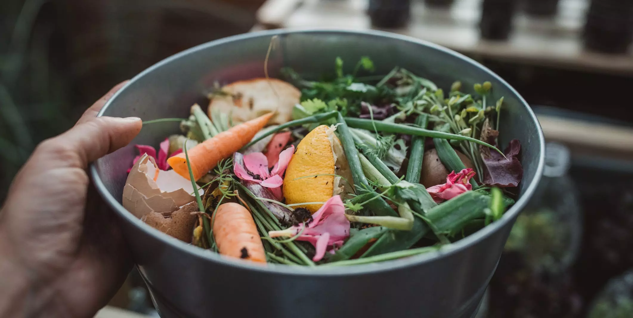 Li-Kitchen Compost Bin tse Molemohali tsa 2022 - Meqomo ea Mosuela ea Kichineng e sebetsa Joang?