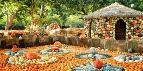 Dallas Arboretum Pumpkin Village - Halloweenske rodinné aktivity