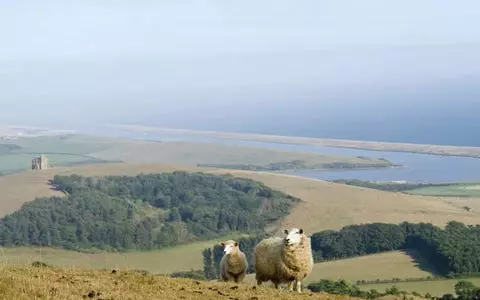 Պատկեր