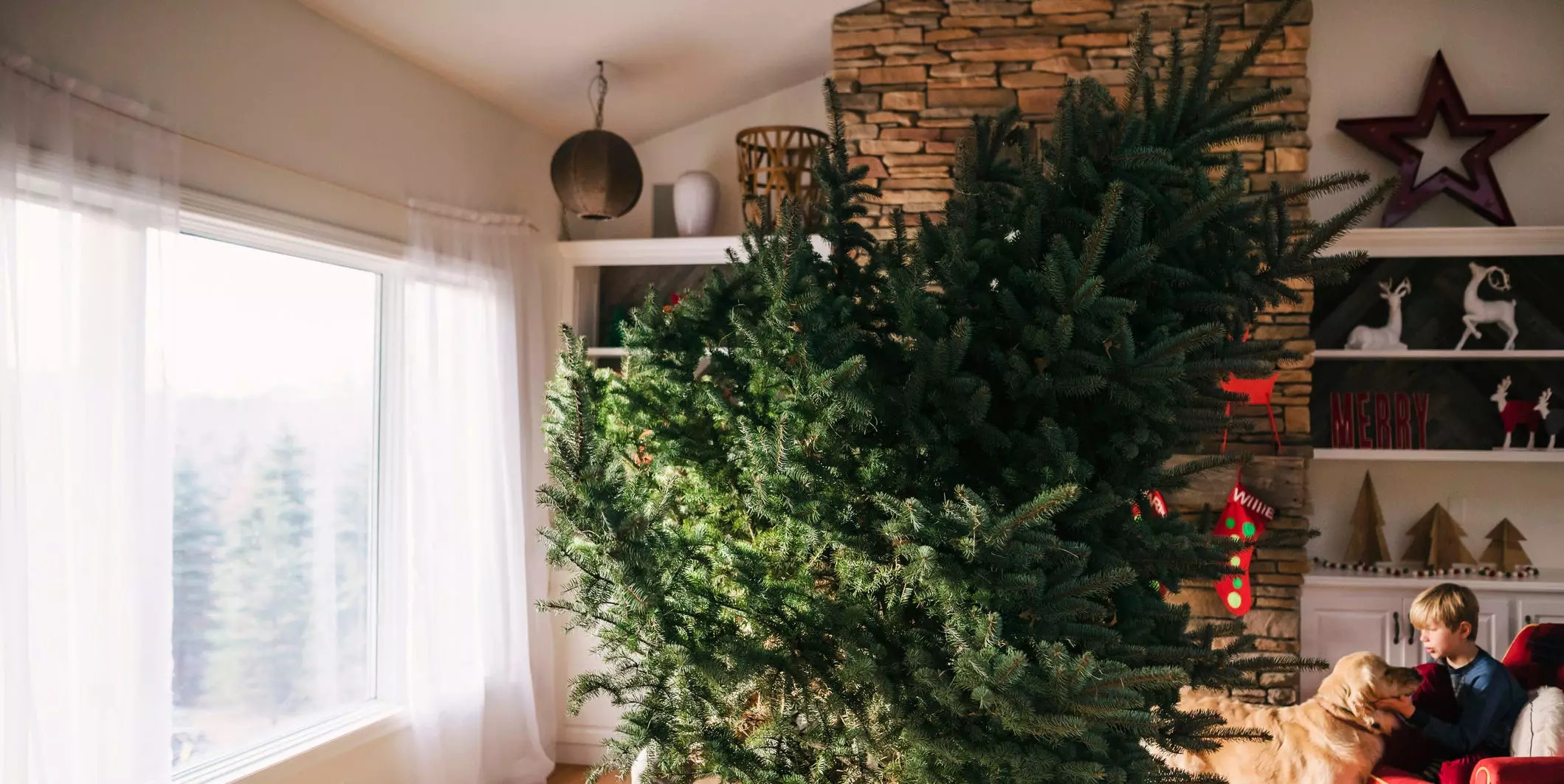 7 Christmas Tree Delivery Services - Keapje in krystbeam online