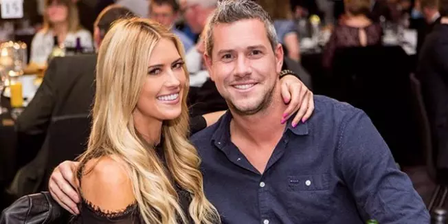 តើ Ant Anstead ជានរណា? របៀបដែល Christina El Moussa បានជួបស្វាមីថ្មីរបស់នាង