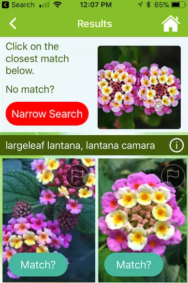 7 Bescht Gardening Apps - Virtuell Tools fir Gaart Planung