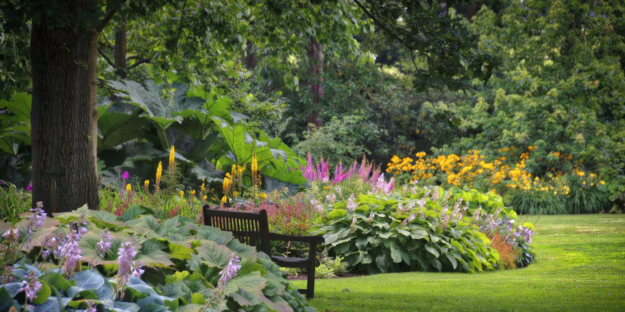 Konsèy Swen Plant Hosta - Ki jan yo kenbe sèf lwen Hostas