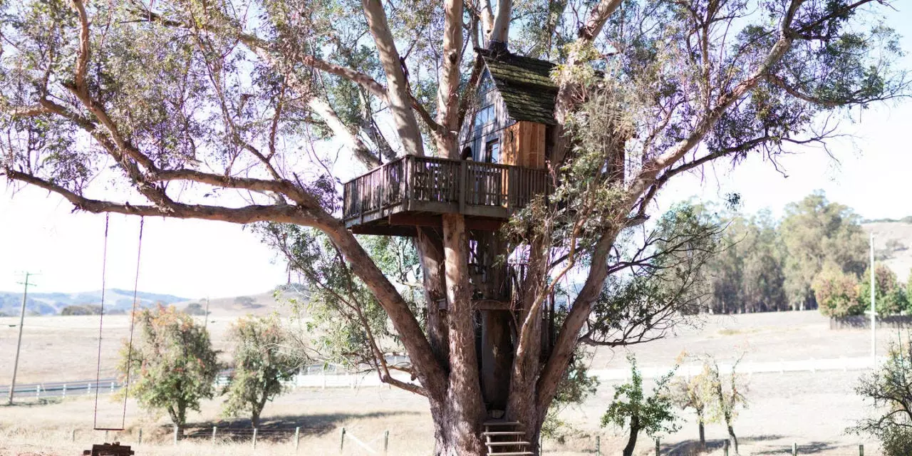 Tilbring natten i dette sjarmerende trehuset i Petaluma - Nord-California Ferieutleie