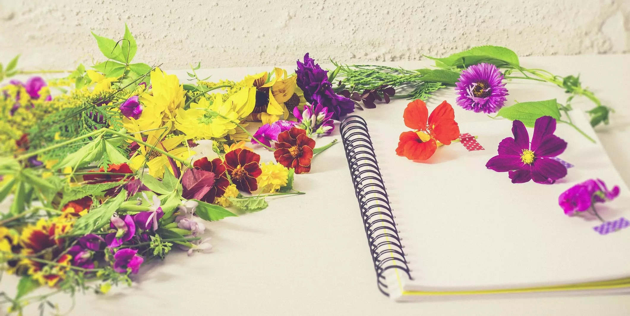 Hoe blommen te drukken - Blommen drukke foar begjinners