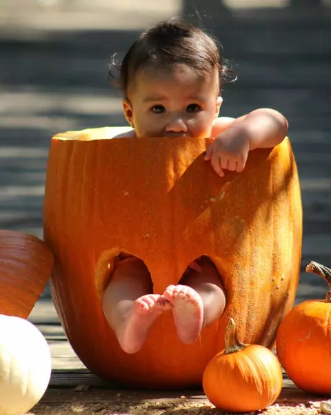 14 Baby in Pumpkin Pictures - srčkane fotografije dojenčkov v bučah