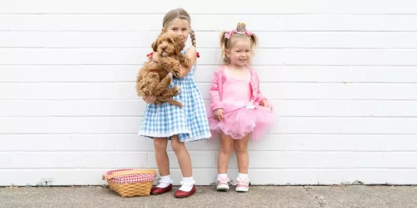 35 DIY Wizard of Oz Halloween Costumes សម្រាប់ Dorothy, Scarecrow និងក្រុមទាំងមូល