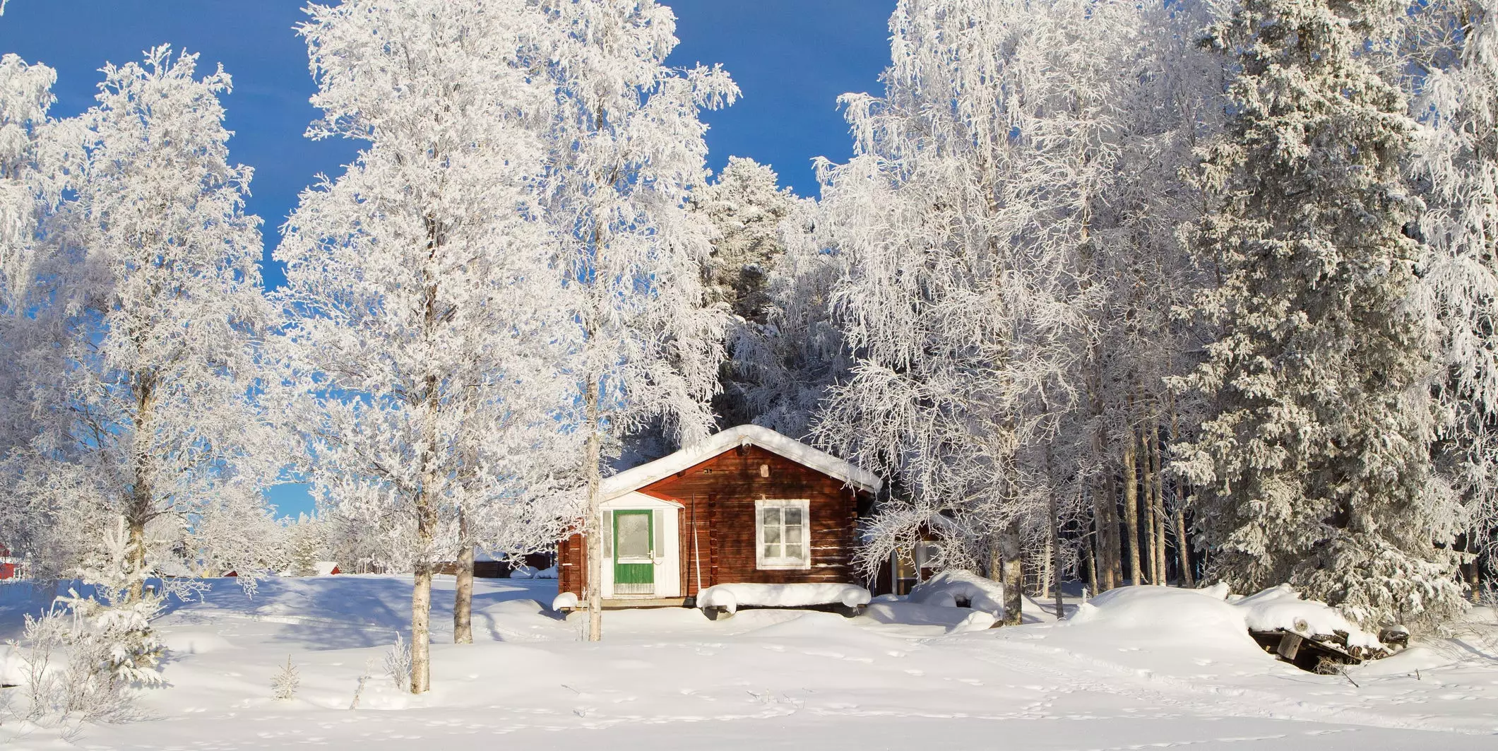 56 melhores citações de inverno - citações de neve e provérbios que você vai adorar