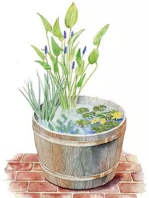 Isang Whiskey-Barrel Water Garden