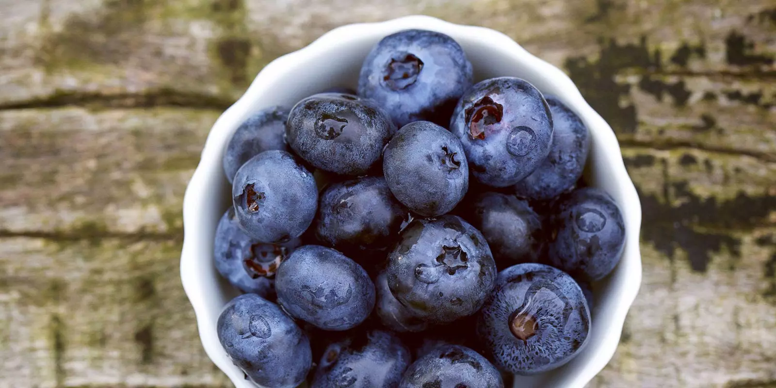 Eeyadu ma cuni karaan blueberries? - Blueberries-ku ma u fiican yihiin mise way u xun yihiin eeyadu?