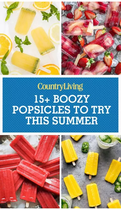 18 Alcoholic Popsicles - Best Boozy Popsicles