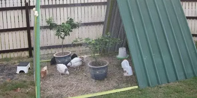 Swingset Chicken Coop - Hühnerstall-Ideen