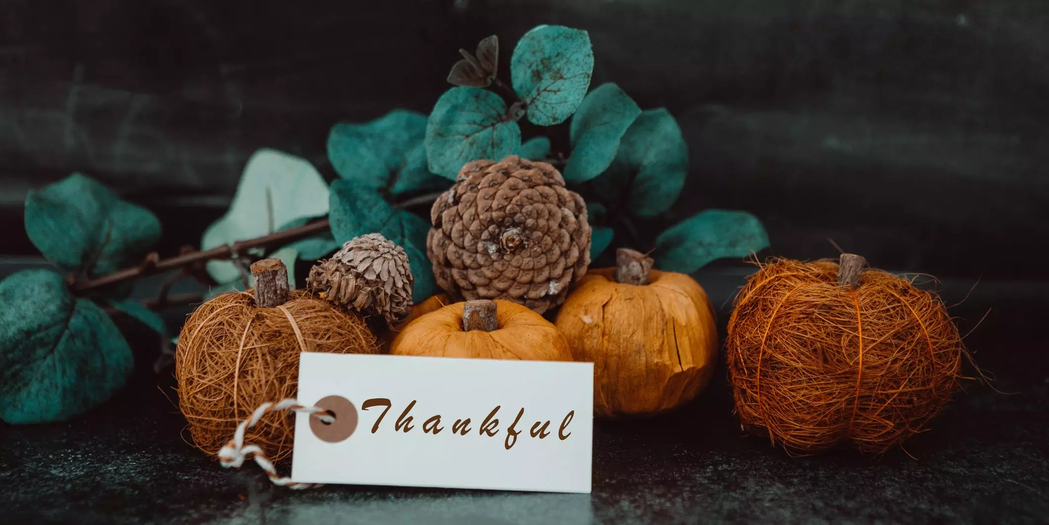 45 Thankful Quotes - Best Thank You Quotes and Sayings