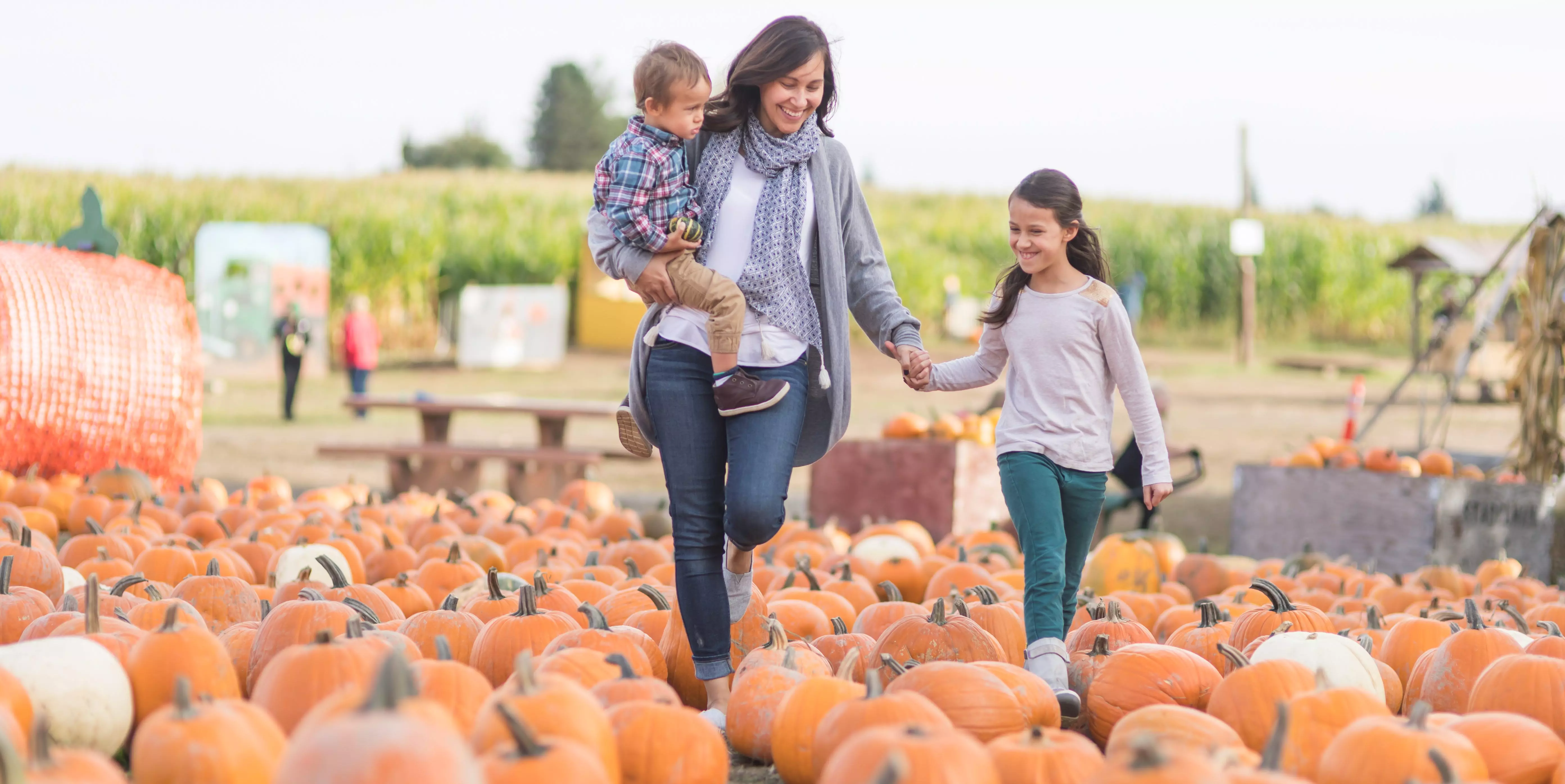 29 Best Fall Festivals Across America 2021 - Fall Travel Ideas